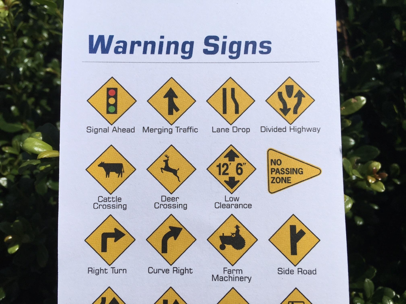 Nc Dmv Eliminates Road Sign Test For License Renewal Wlos Free Hot