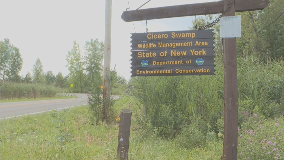 What residents can expect ahead of aerial spraying of the Cicero Swamp ...