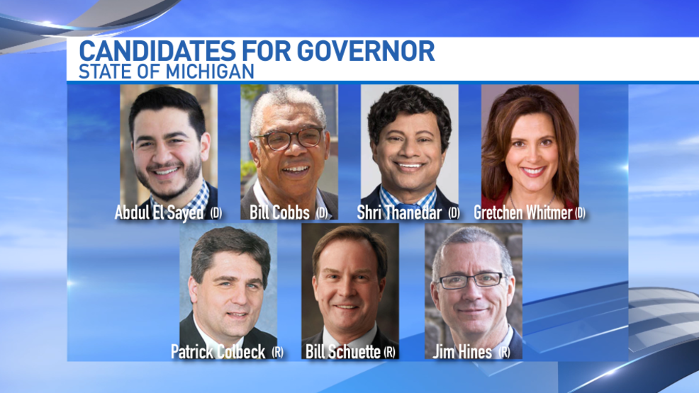 3 Democrats running for Michigan governor hold 1st debate | WWMT