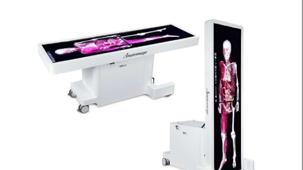 Mount Aloysius awarded $100K grant to purchase 3D anatomy table | WJAC