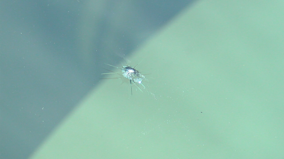 Driver says someone shot at his windshield with a pellet gun in Miami ...