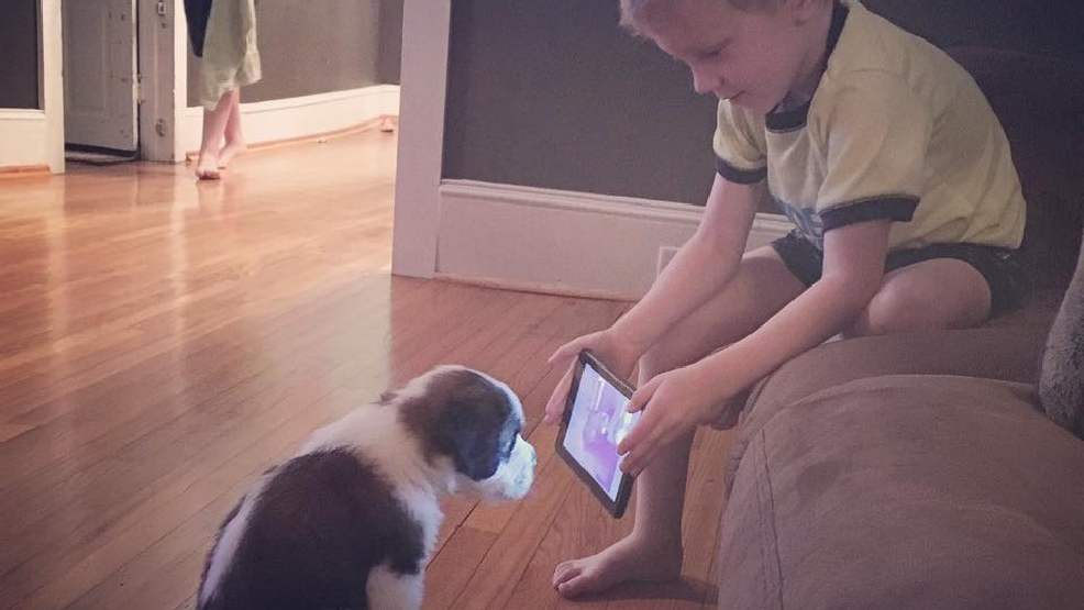 Adorable photo of indoors-bound boy 'training' his puppy goes viral | WTVC