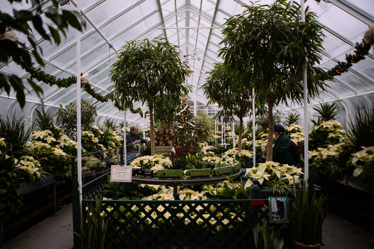 Photos: Volunteer Park Conservatory for the Holidays | Seattle Refined