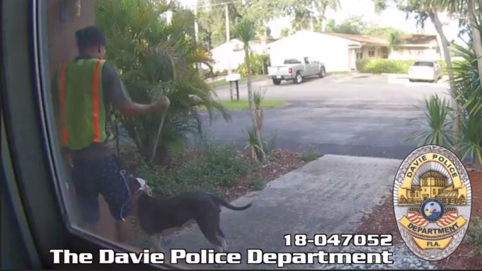 Pet thief caught on camera | WPEC
