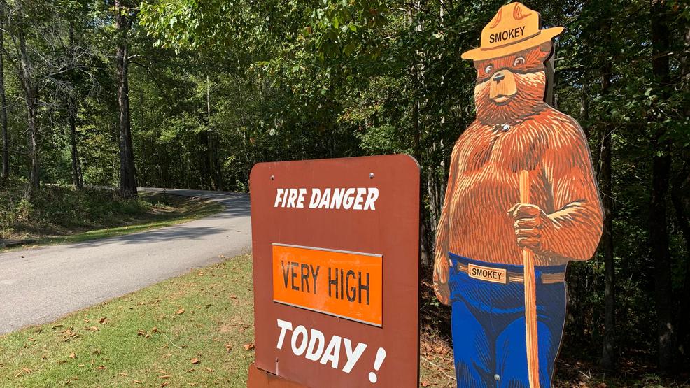 USDA working with Alabama Forestry Commission to prevent wildfires | WBMA